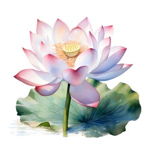 Lotus Clipart, Lotus Flower Images, 10 Watercolor Clip Art, Printable ...