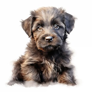 Bouvier Des Flandres Dog Clipart, Puppy Dog Images, 10 Watercolor Clip ...