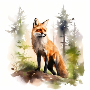 Red Fox Clipart, Fox in Forest Images, 10 Watercolor Clip Art ...