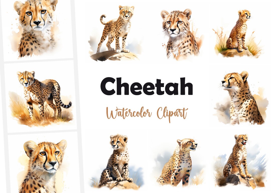 Cheetah Clipart, Cheetah Images, 10 Watercolor Clip Art, Printable Jpgs ...