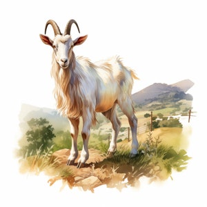Farm Goat Clipart, Farmyard Goat Images, 10 Watercolor Clip Art ...
