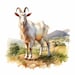 Farm Goat Clipart, Farmyard Goat Images, 10 Watercolor Clip Art ...