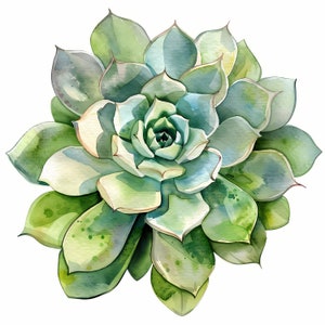 Succulent Clipart, Cactus Succulents Images, 10 Watercolor Clip Art ...