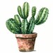 Cactus Clipart, Cactus in Pot Images, 10 Watercolor Clip Art, Printable ...
