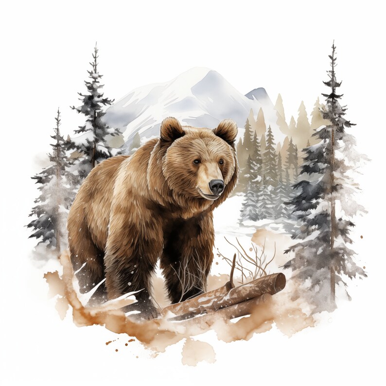 13 Brown Bear, Bear in Winter Clipart, Watercolor Clipart, High Quality ...