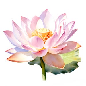 Lotus Clipart, Lotus Flower Images, 10 Watercolor Clip Art, Printable ...