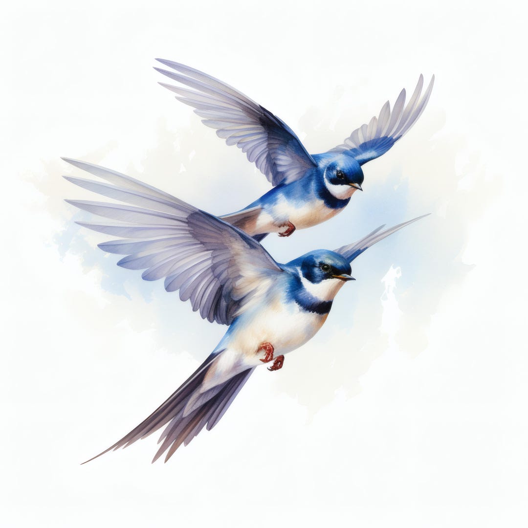 Swallow Birds Clipart, Flying Swallows Images, 10 Watercolor Clip Art ...