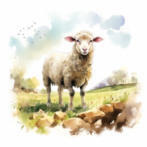 Sheep Clipart, Sheep on Farm Images, 10 Watercolor Clip Art, Printable ...