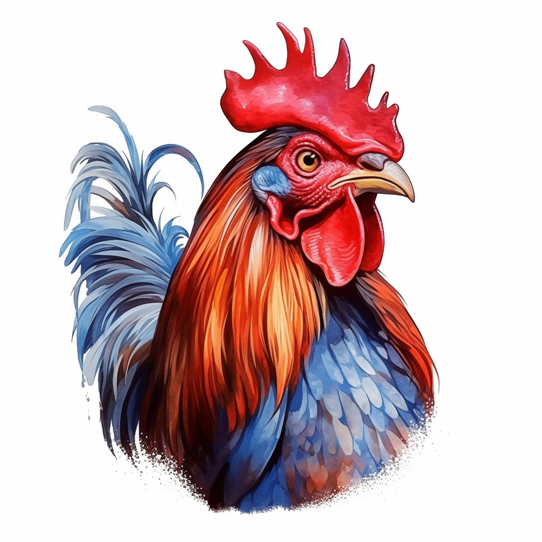 Rooster Clipart, Roosters Images, 14 Watercolor Clip Art, Printable ...