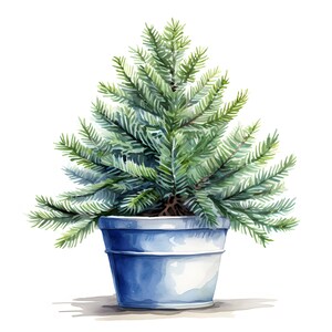 Potted Christmas Tree Clipart, Tree in Pot Images, 10 Watercolor Clip ...