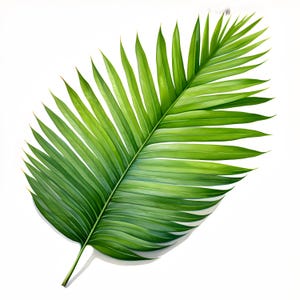 Palm Beach Leaf Clipart, Tropical Leaf Images, 10 Watercolor Clip Art ...