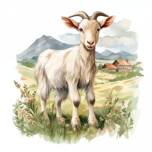 Farm Goat Clipart, Goat Images, 14 Watercolor Clip Art, Printable Jpgs ...