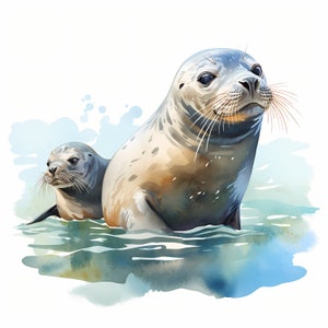 Watercolor Seals Clipart: 10 Printable Sea Lion Jpgs (commercial Use ...