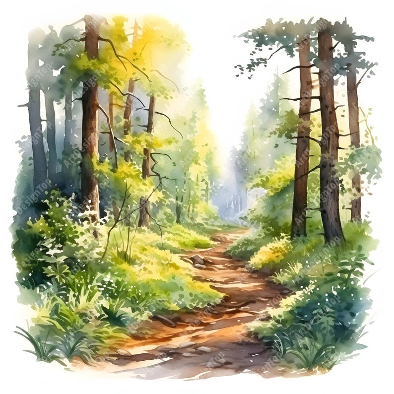 Watercolor Forest Trail Clipart: Hiking Landscape Jpgs (commercial Use ...