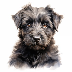 Bouvier Des Flandres Dog Clipart, Puppy Dog Images, 10 Watercolor Clip ...