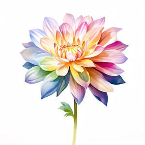 Rainbow Flower Clipart, Colored Flowers Images, 10 Watercolor Clip Art ...