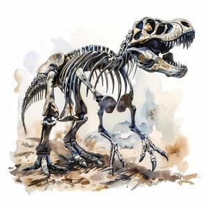 T-rex Skeleton Clipart, Dinosaur Bones Images, 10 Watercolor Clip Art ...