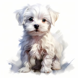 Maltese Clipart, Maltese Dog Images, 10 Watercolor Clip Art, Printable ...