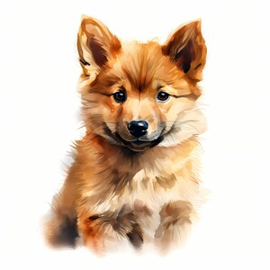 10 Finnish Spitz, Puppy Dog, Finnish Hunting Dog JPG, Watercolor ...