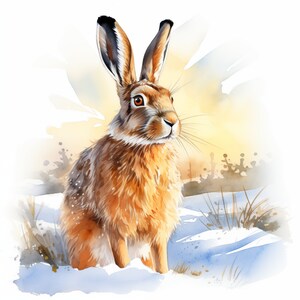 Snow Hare Clipart, Hare in Winter Images, 10 Watercolor Clip Art ...