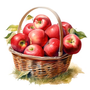 Red Apples Clipart, Apples in Basket Images, 10 Watercolor Clip Art ...