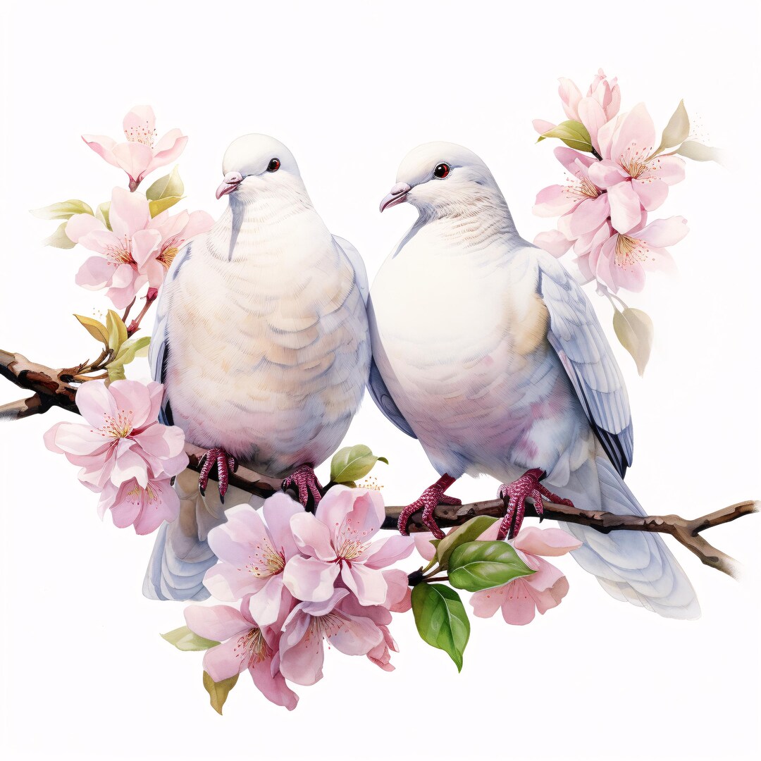 Doves Couple Clipart, Love Bird Images, 10 Watercolor Clip Art ...