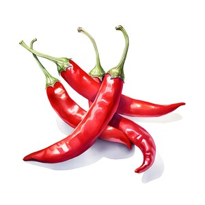 Watercolor Red Hot Chilli Peppers Clipart: Printable JPG Images ...