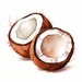 Watercolor Coconut Clipart: Tropical Fruit JPG Images (digital Download ...