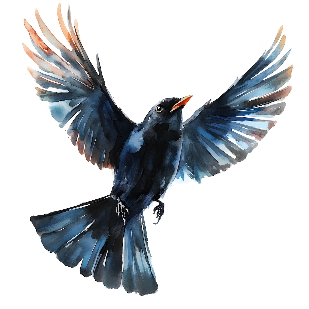 Blackbird Clipart, Flying Blackbird Images, 10 Watercolor Clip Art ...