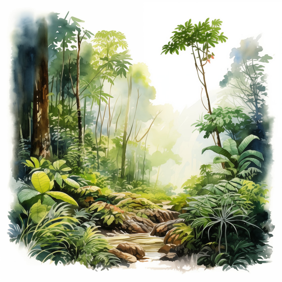 Watercolor Rainforest Clipart: Amazon Jungle Art (jpgs, Commercial Use ...