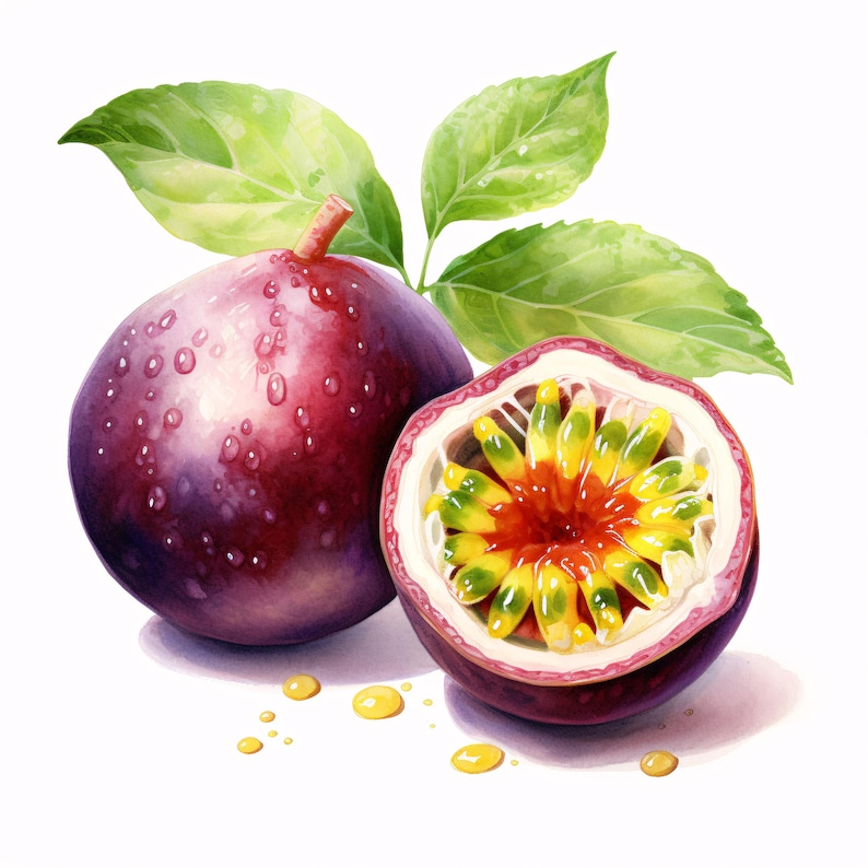Passion Fruit Watercolor Clipart: Tropical Fruit JPG Images for ...