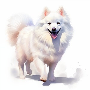 Japanese Spitz Clipart, Japanese Dog Images, 10 Watercolor Clip Art ...