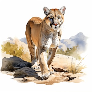 Mountain Lion Clipart, Cougar Images, 10 Watercolor Clip Art, Printable ...