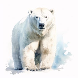 Polar Bear Clipart, Arctic Animal Images, 10 Watercolor Clip Art ...