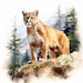 Cougar Clipart, Mountain Lion Images, 10 Watercolor Clip Art, Printable ...
