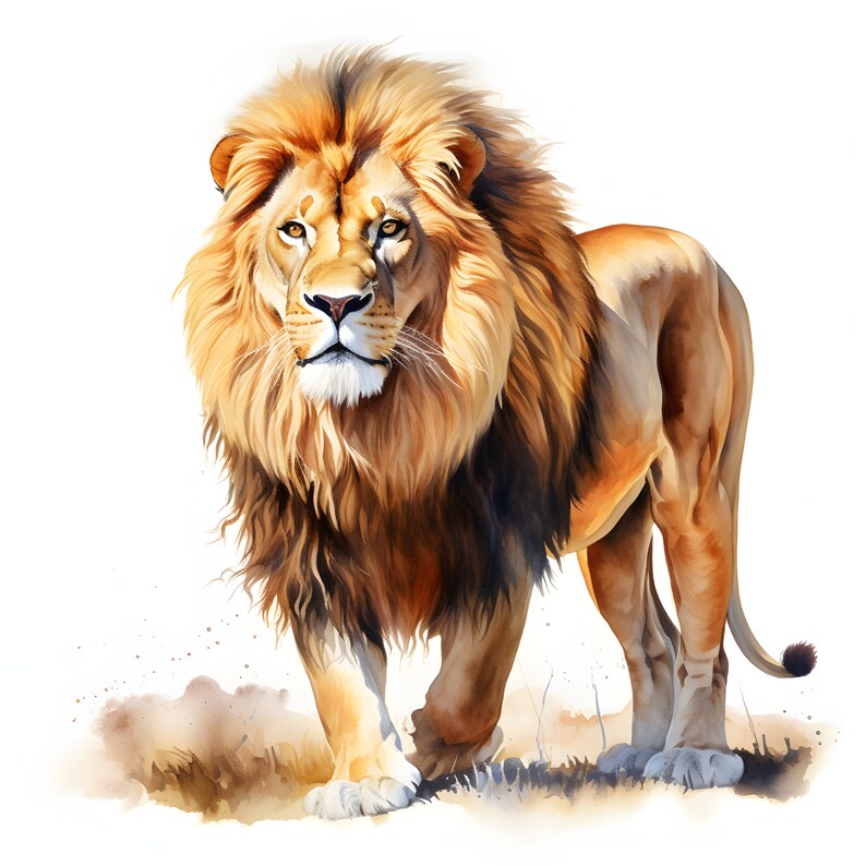 Watercolor Lion Clipart: African Animal Art (JPG Digital Download) - Etsy