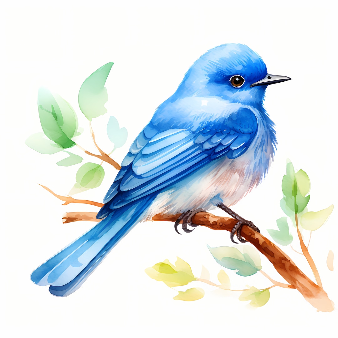 Bluebird Watercolor Clipart: 10 Printable Bird Images (jpgs, Commercial ...