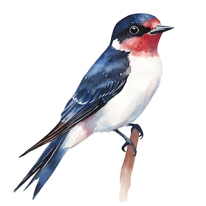 Swallow Clipart, Flying Swallow Bird Images, 10 Watercolor Clip Art ...