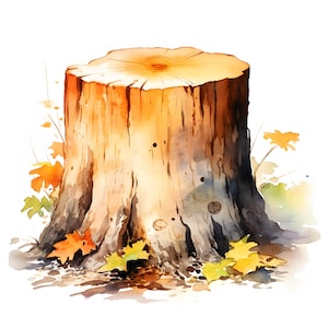 Autumn Stump Clipart, Autumn Wood Stump Images, 10 Watercolor Clip Art ...
