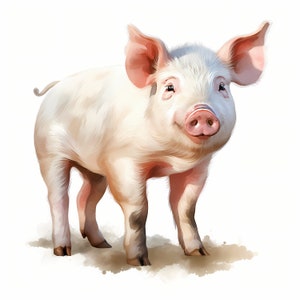 Farmyard Pig Clipart, Farm Pig Images, 10 Watercolor Clip Art ...