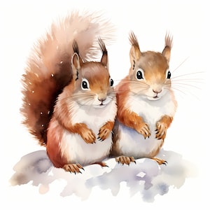 Squirrel Couple Clipart, Winter Squirrels Images, 10 Watercolor Clip ...