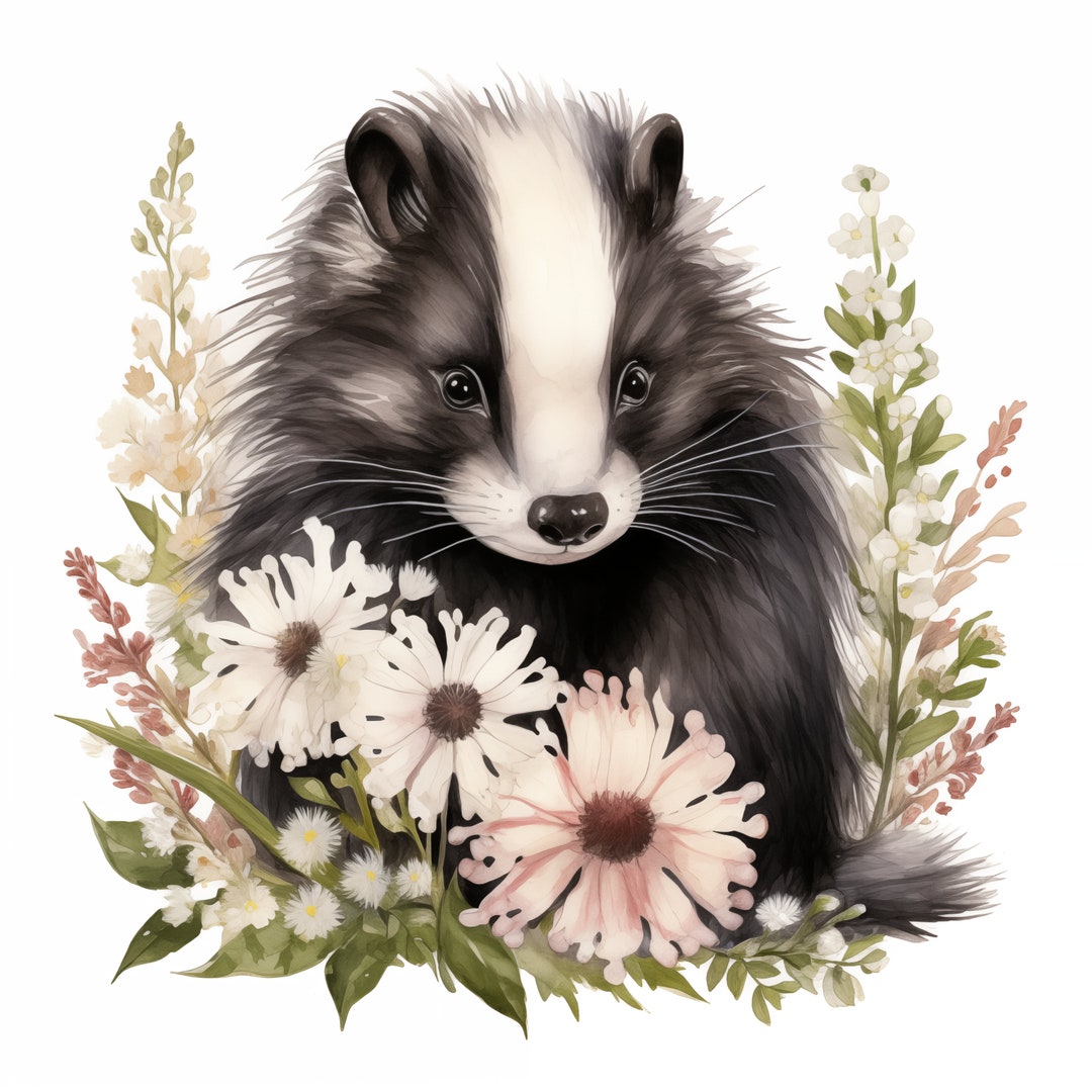Skunk Clipart, Skunk With Flowers Images, 10 Watercolor Clip Art ...