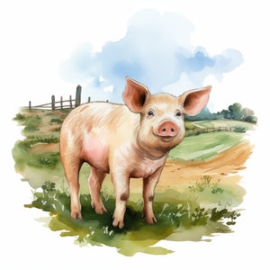 12 Farm Pig Clipart, Pig Clipart, Watercolor Clipart, High Quality Jpgs ...