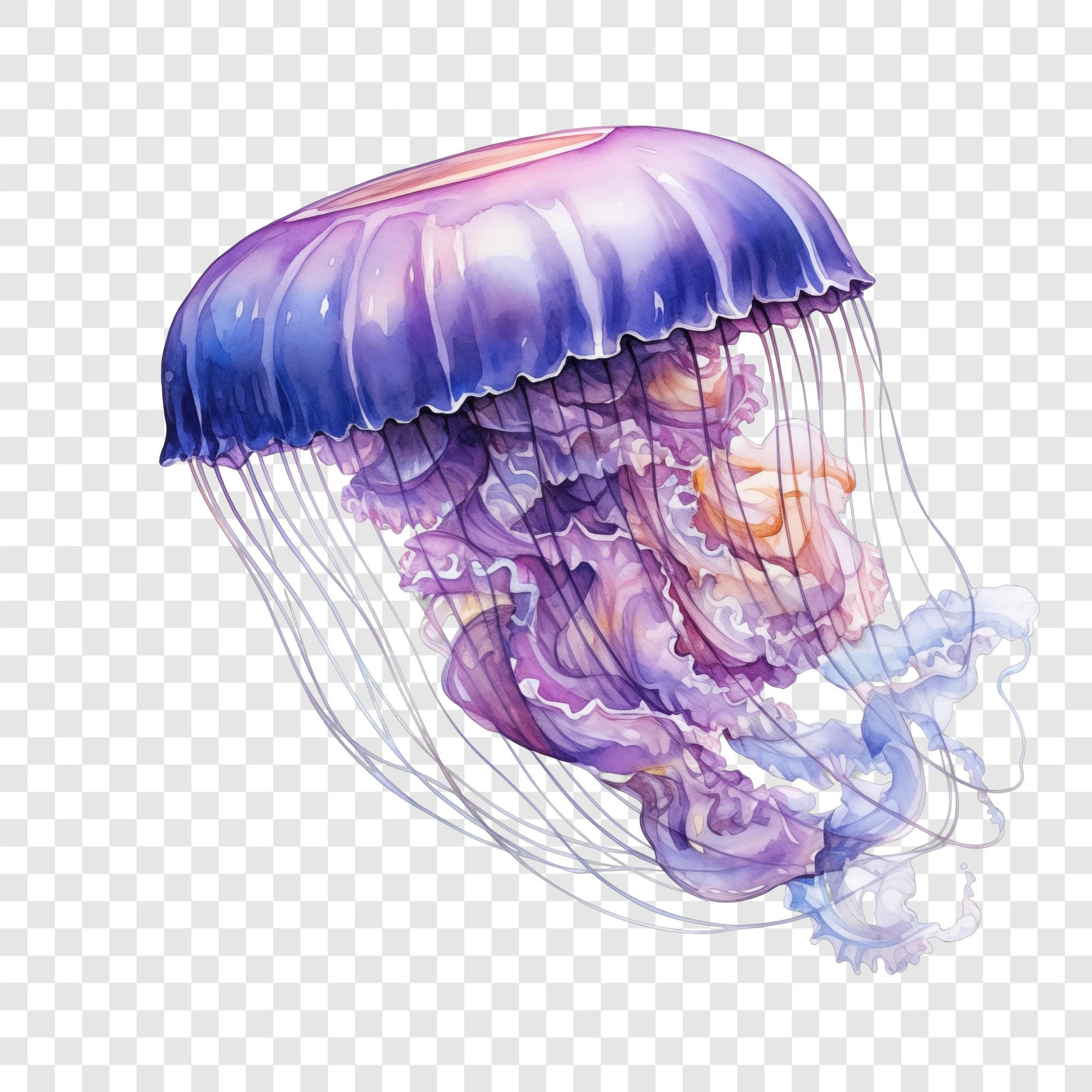 10 PNG Jellyfish Clipart, Ocean Sea Creature Images, Watercolor Clip ...