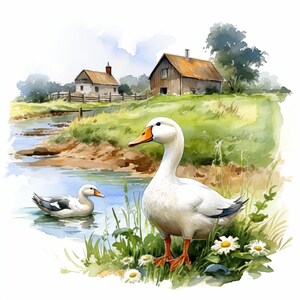 Duck Clipart, Farm Duck Images, 15 Watercolor Clip Art, Printable Jpgs ...