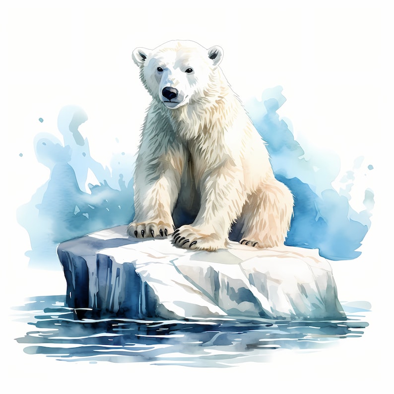 Watercolor Polar Bear Clipart: Arctic Animal Jpgs (commercial Use) - Etsy