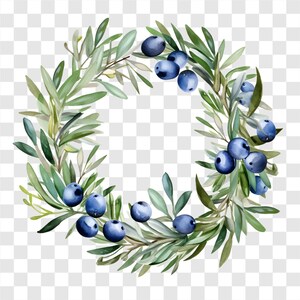 10 PNG Olive Wreath, Olive and Leaves Clipart, Watercolor Clip Art ...