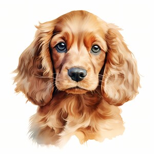 Cocker Spaniel Clipart, Puppy Dog Images, 10 Watercolor Clip Art ...