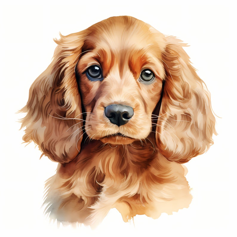 Cocker Spaniel Clipart, Puppy Dog Images, 10 Watercolor Clip Art ...