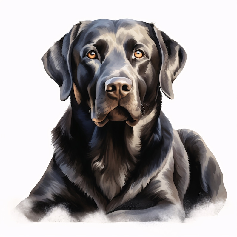 Black Labrador Clipart, Labrador Retriever Images, 10 Watercolor Clip ...
